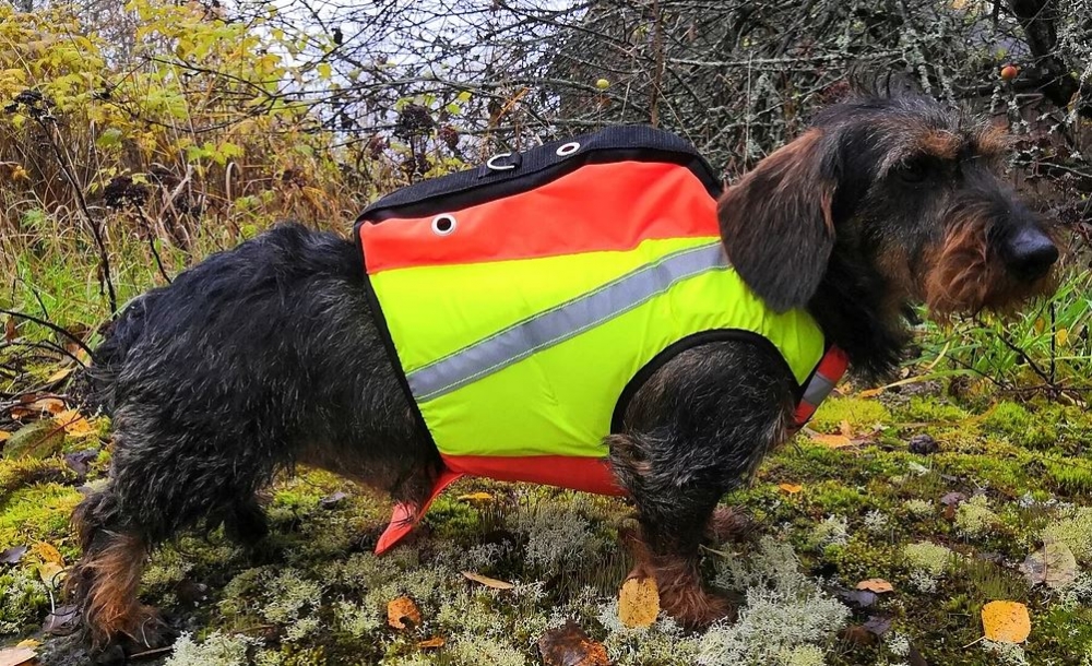 Kardog Tracker vest for små hunder med flyteelement | Børsemaker Wear AS